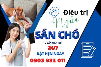 DẤU HIỆU NHIỄM SÁN CHÓ ? NGUYÊN NHÂN , CÁCH ĐIỀU TRỊ SÁN CHÓ HIỆU QUẢ